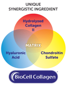 bio cell collagen – Biocell Technology